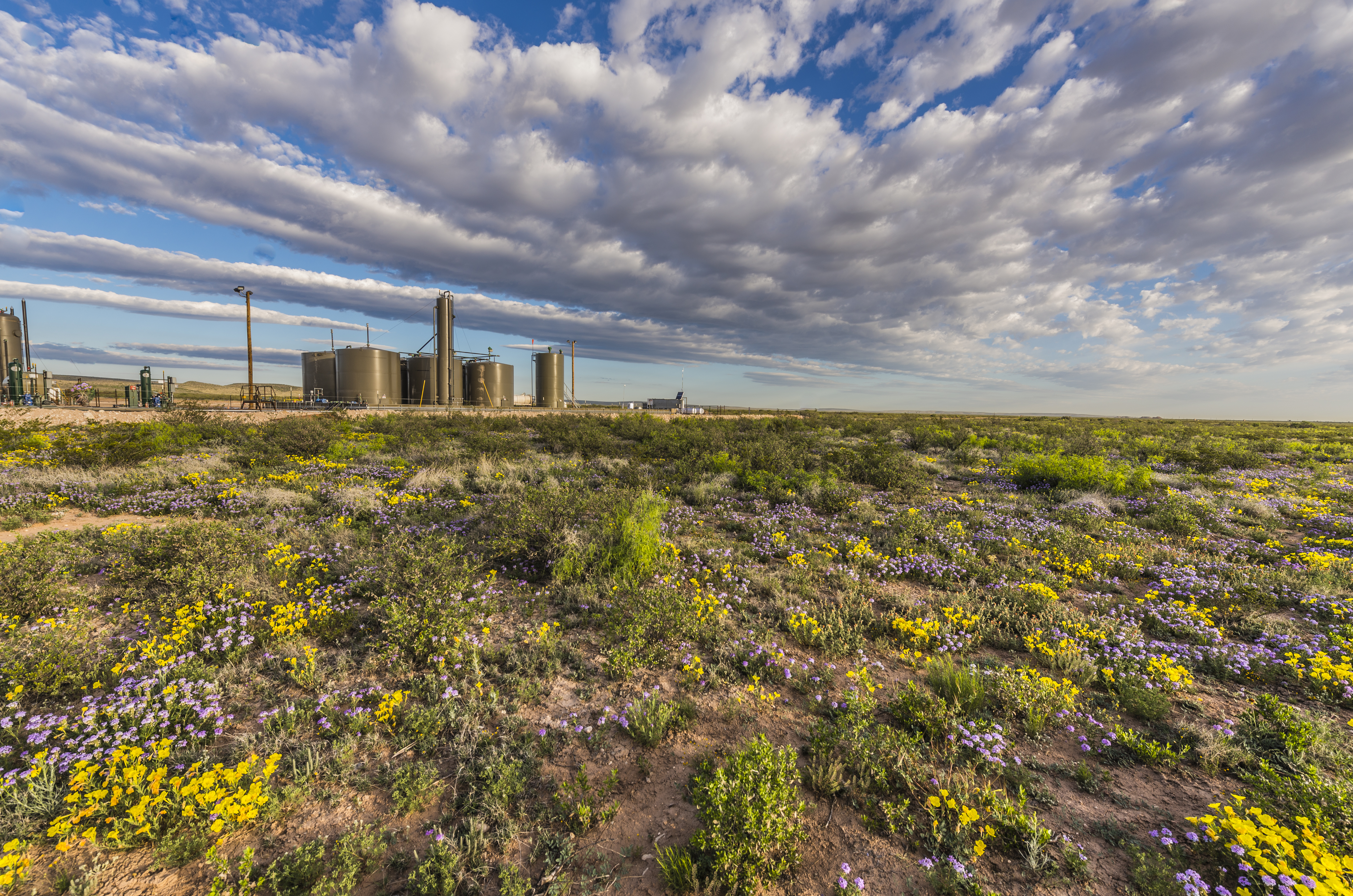 Devon Energy, Inc. 2025 Annual Meeting